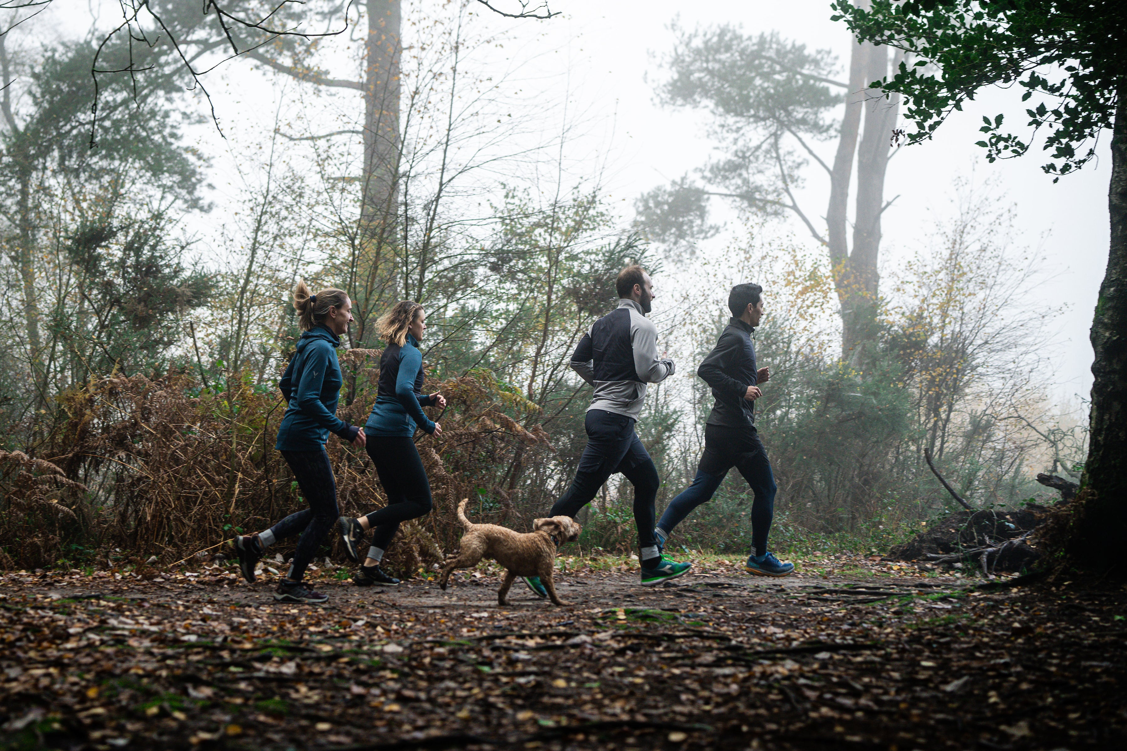 Black Friday – Flyte